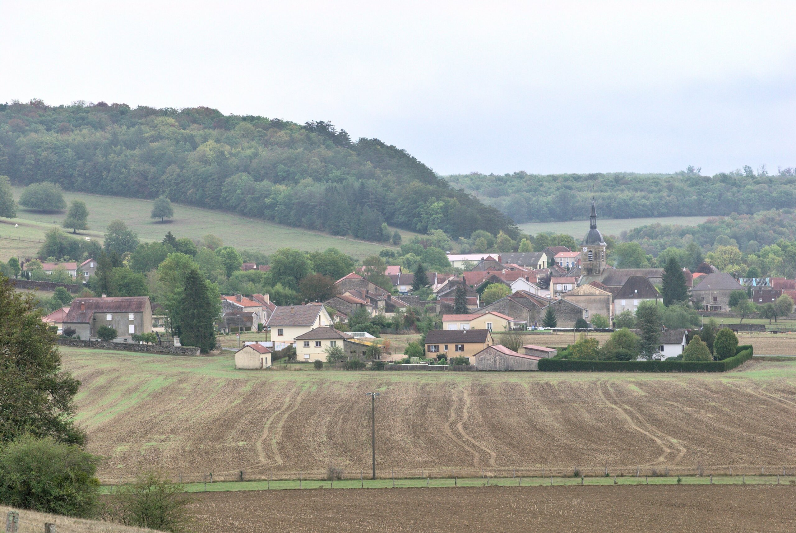 Pérennisation des zones de revitalisation rurale : une bonne nouvelle ...