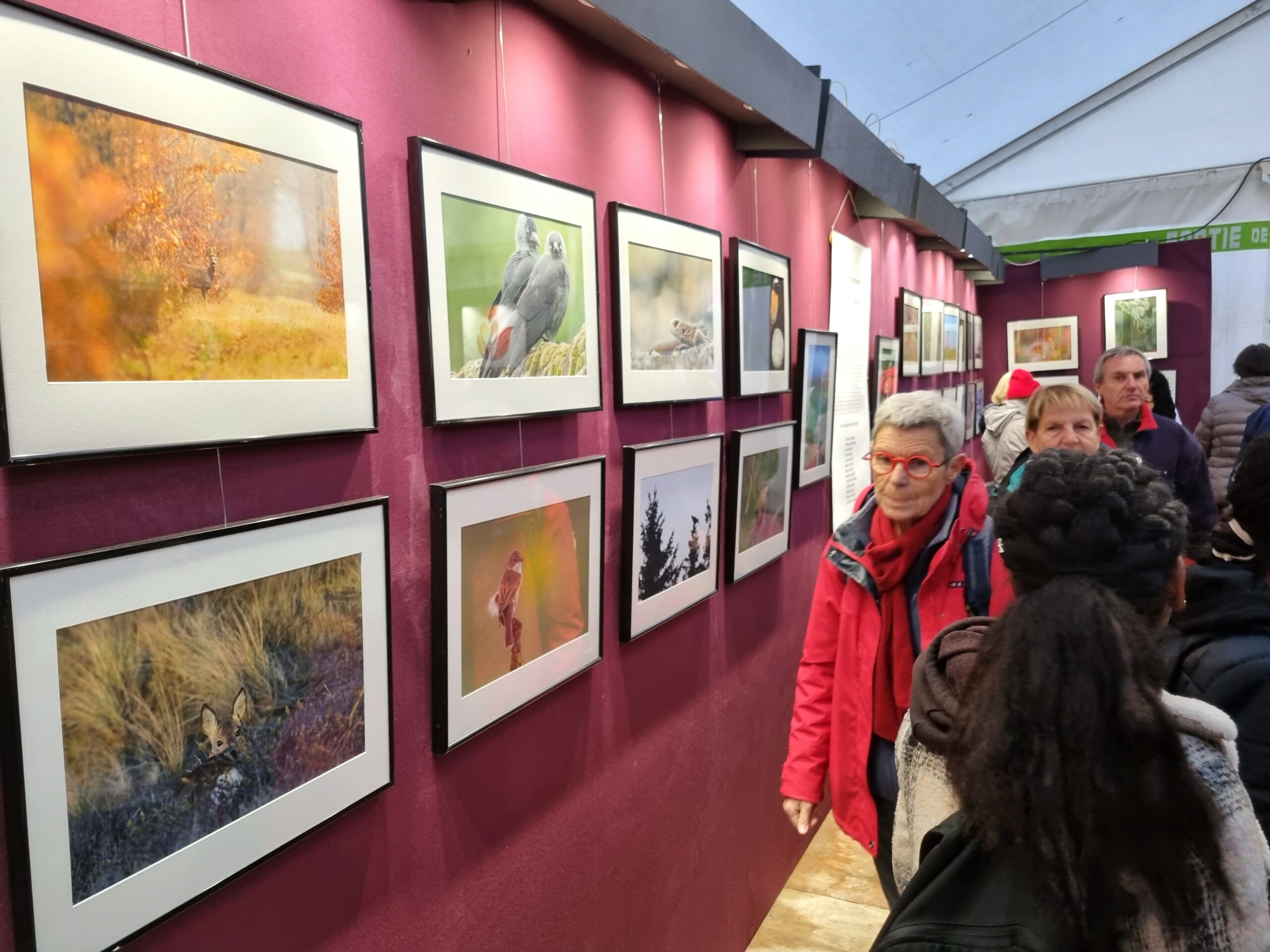 Le Festival photo Montier fait rayonner la Haute-Marne - Conseil ...